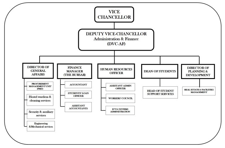 Organization structure – UAUT