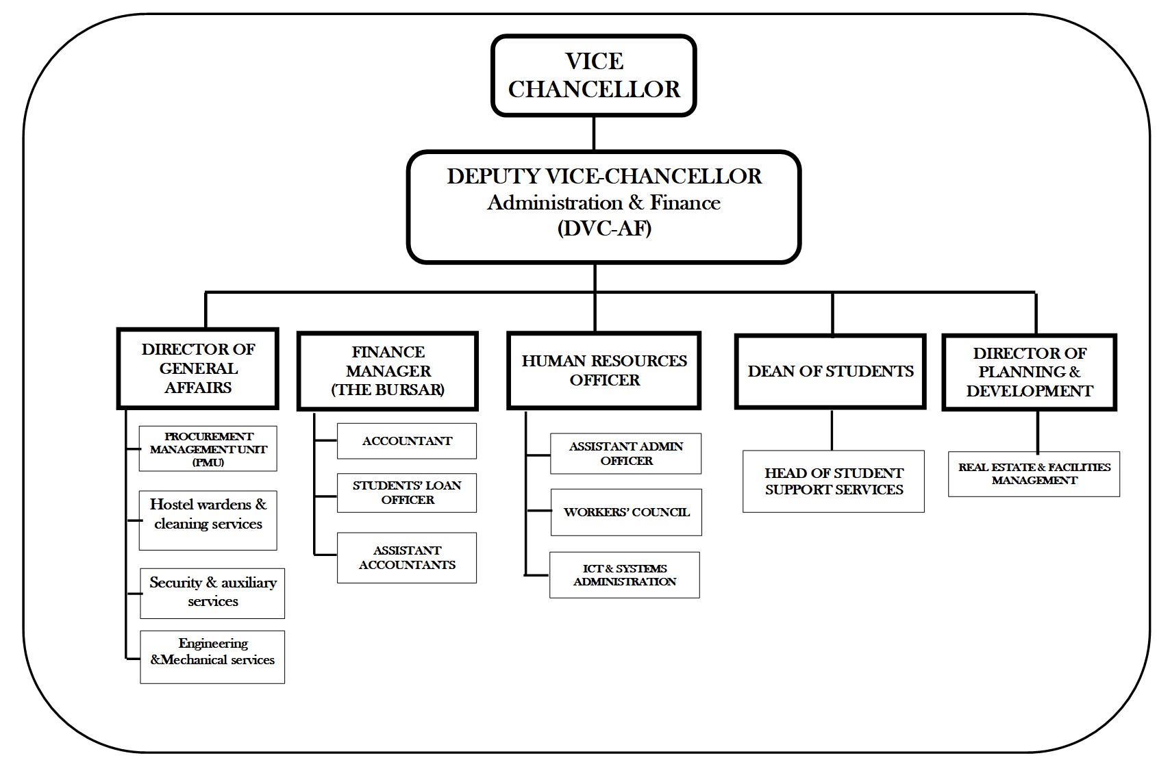 Organization structure – UAUT